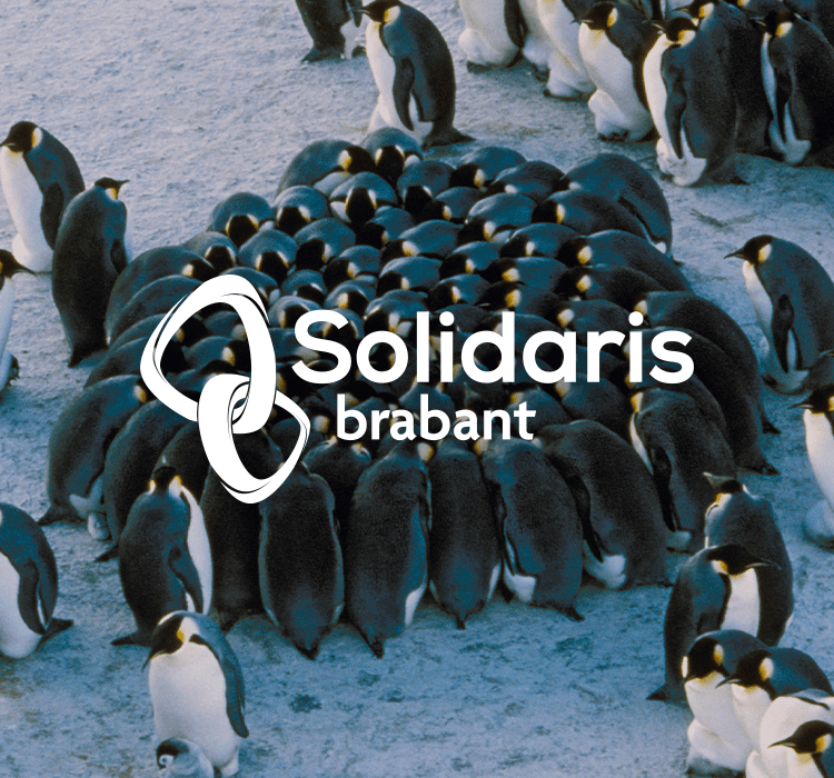 Our campaign for Solidaris Brabant | MOJO Agency